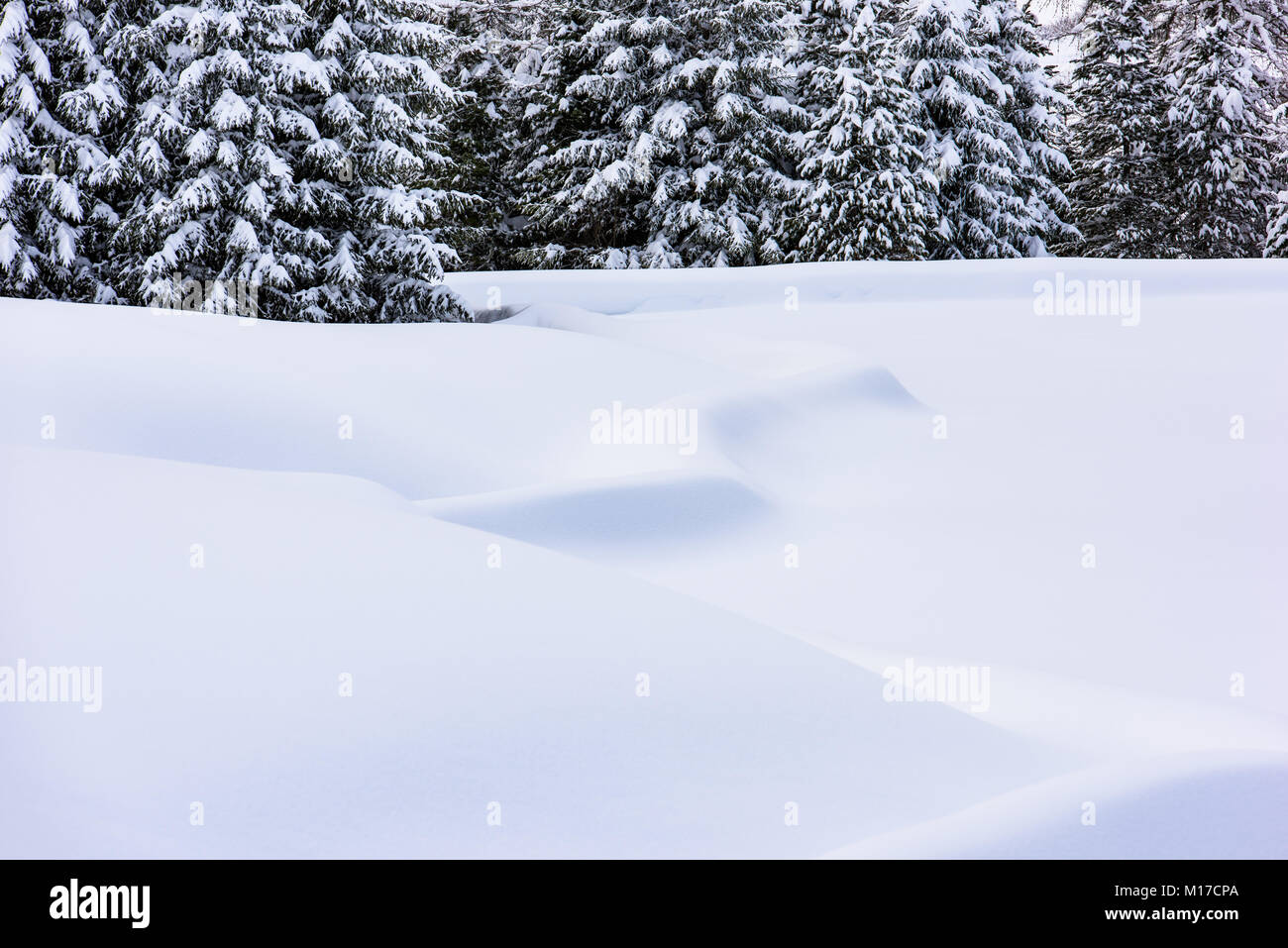 Lines in the snow Stock Photo - Alamy