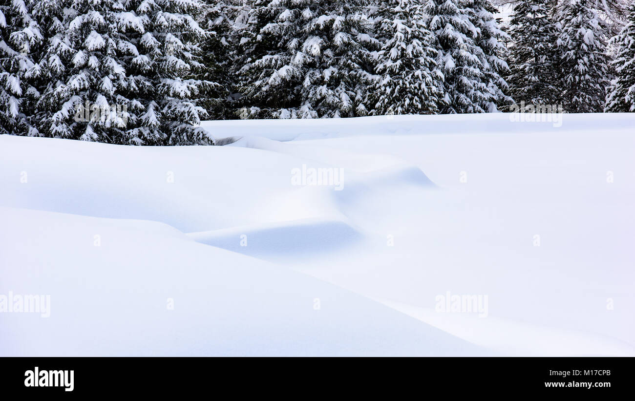 Thin Line Art High Resolution Stock Photography and Images - Alamy