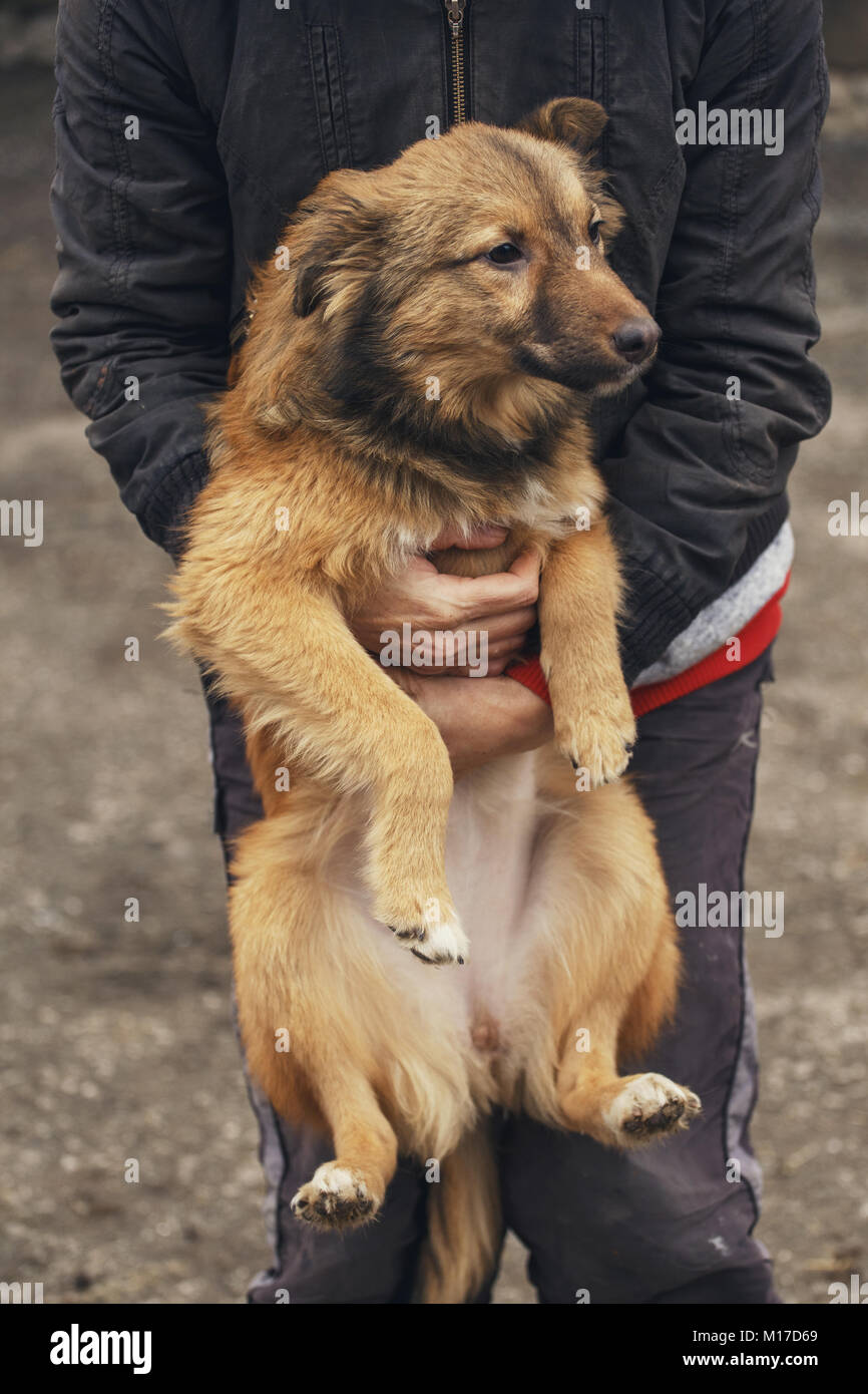 Homeless man with dogs hi-res stock photography and images - Alamy