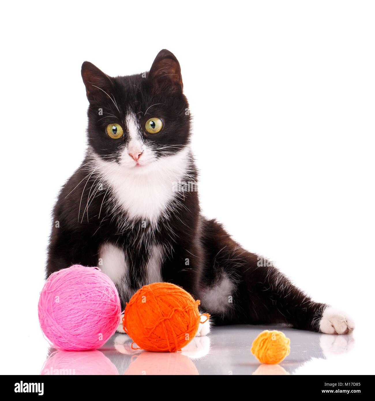 Kitten is played with a ball of thread. Threaded games. Cat poster ...