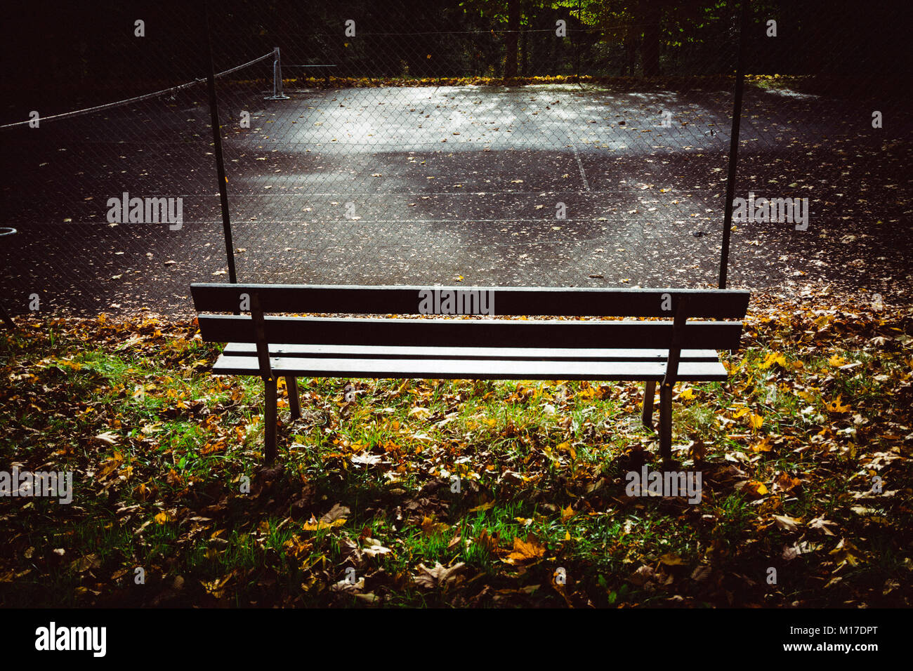 Isolated bench in front of a tennis court Stock Photo - Alamy