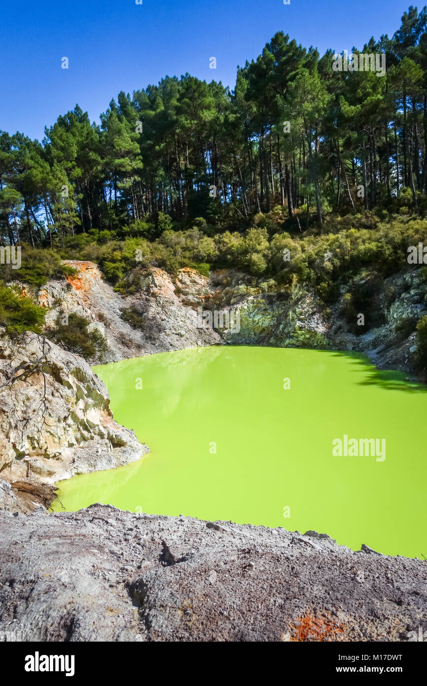 green lake in Waiotapu geothermal area, Rotorua, New Zealand Stock ...