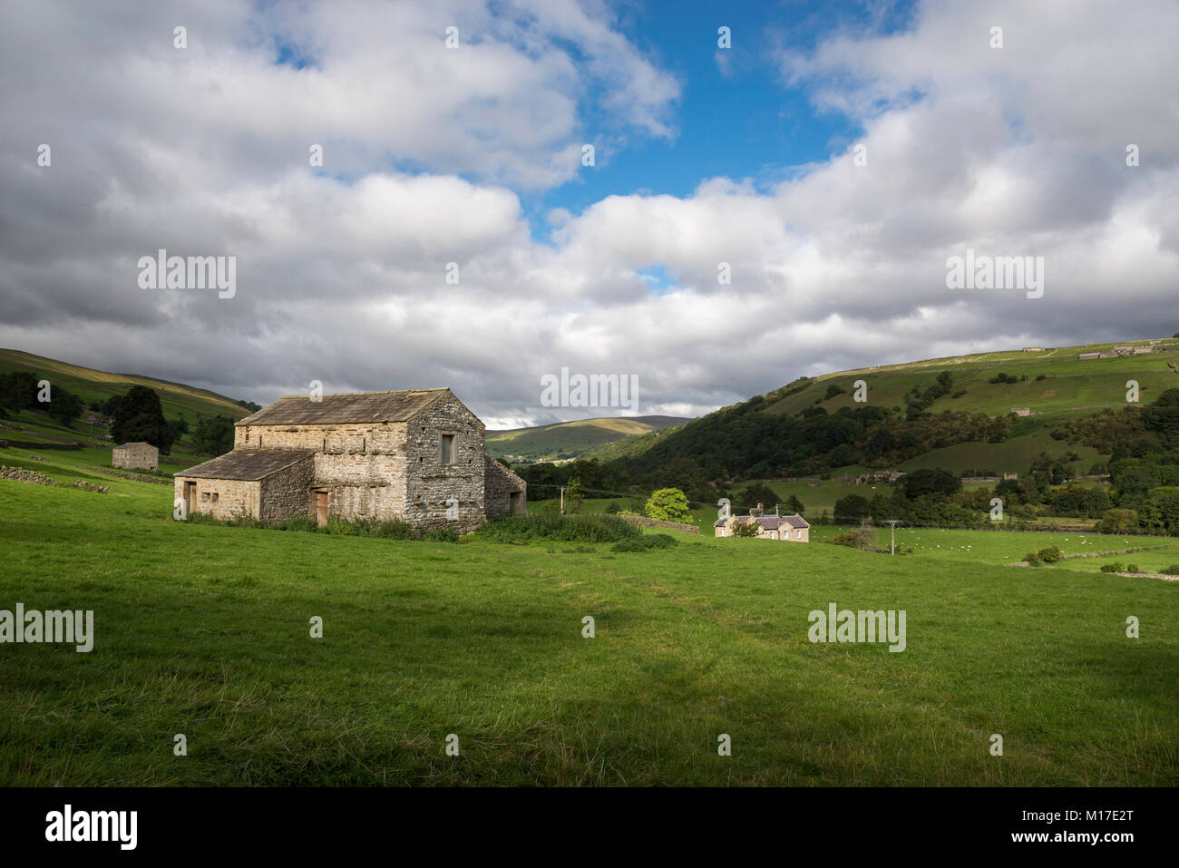 Old stone barns in Swaledale, Yorkshire Dales, ENgland Stock Photo - Alamy