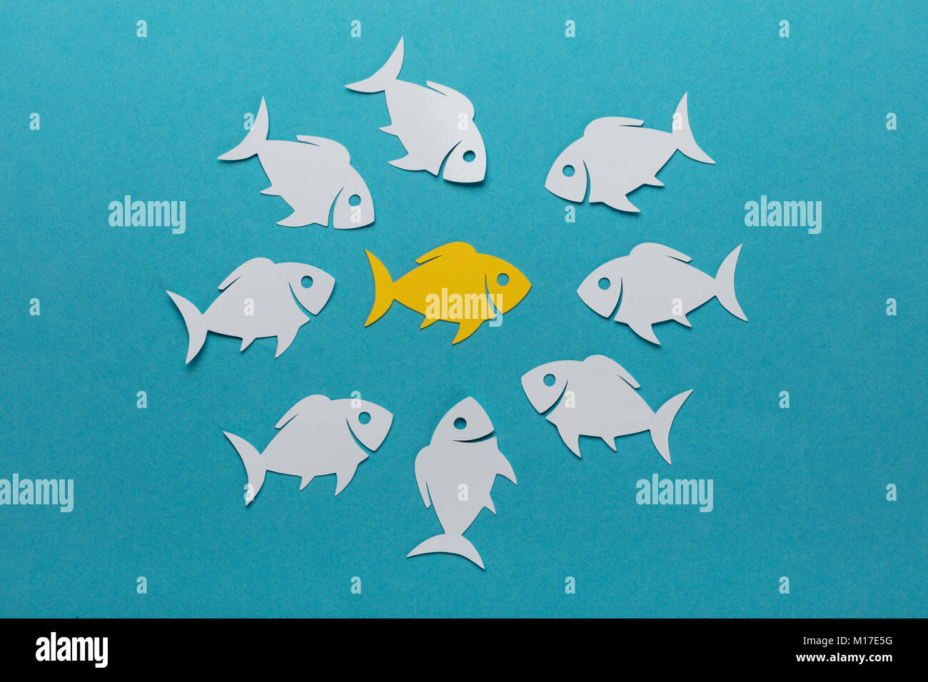 Fishes background hi-res stock photography and images - Alamy