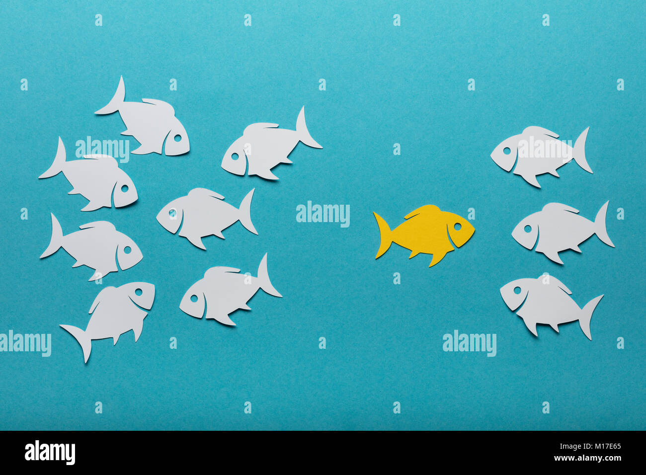 Paper Fish Changing Peer Group Over Blue Background Stock Photo - Alamy