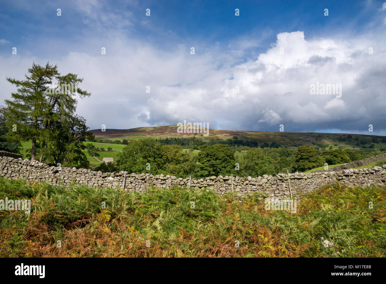 Beautiful September day near Reeth in Swaledale, Yorkshire Dales ...