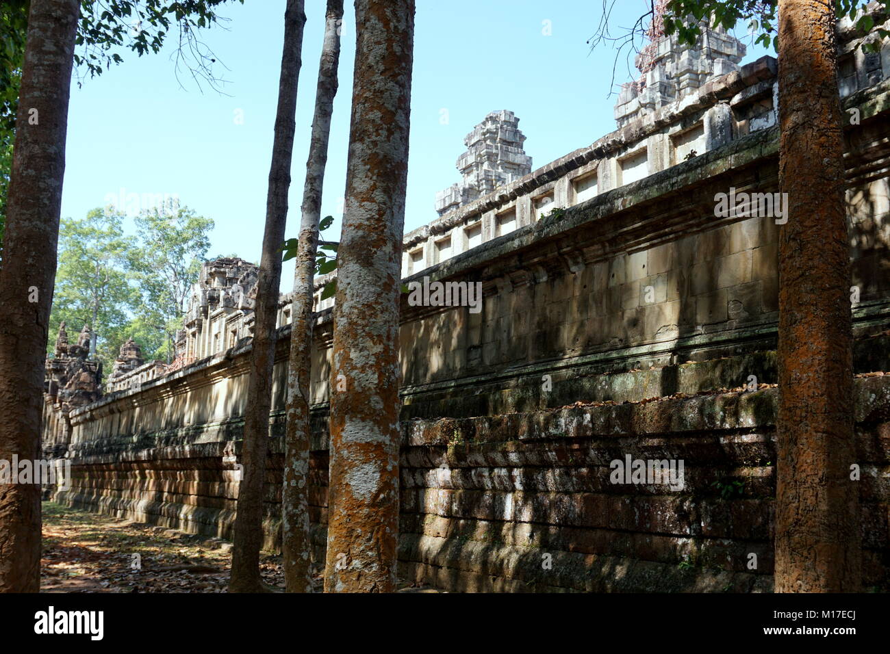 Abandoned ancient temple tree hi-res stock photography and images - Alamy