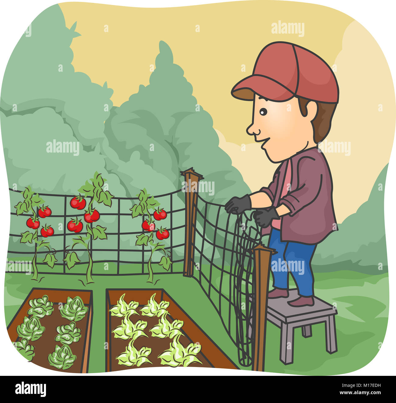 Vegetable Garden Clip Art