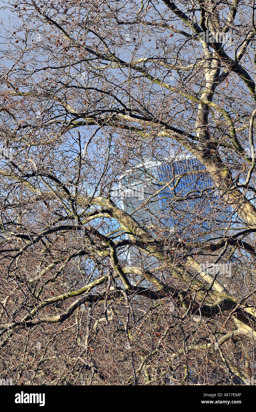 a different and unusual viewpoint through some trees of the walkie ...