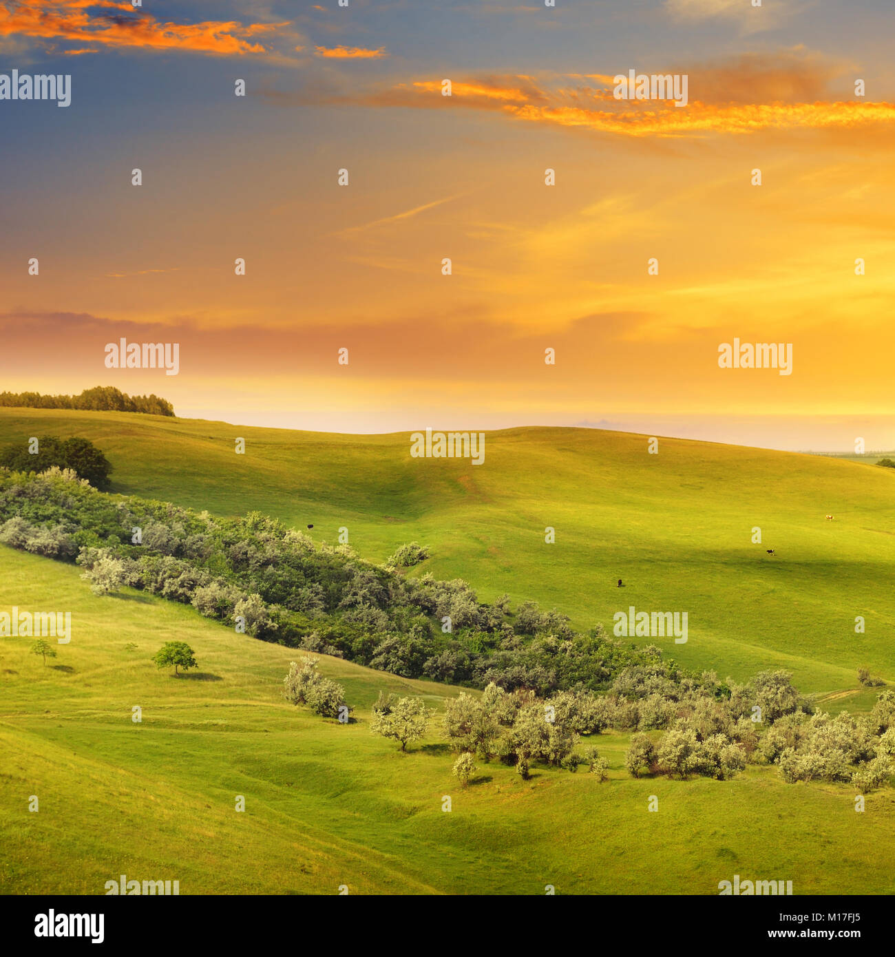 scenic fields, hills and sunrise Stock Photo - Alamy