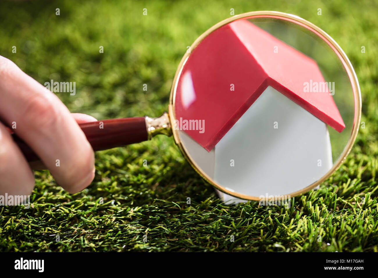 Nature looking through magnifying glass hi-res stock photography and ...