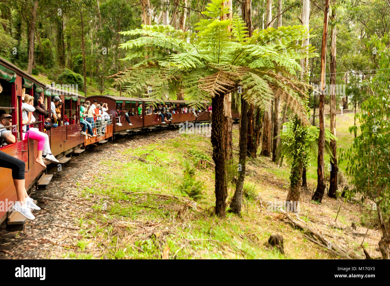 Australia. Puffing Billy is historical narrow railway in the Dandenong Ranges near Melbourne ...