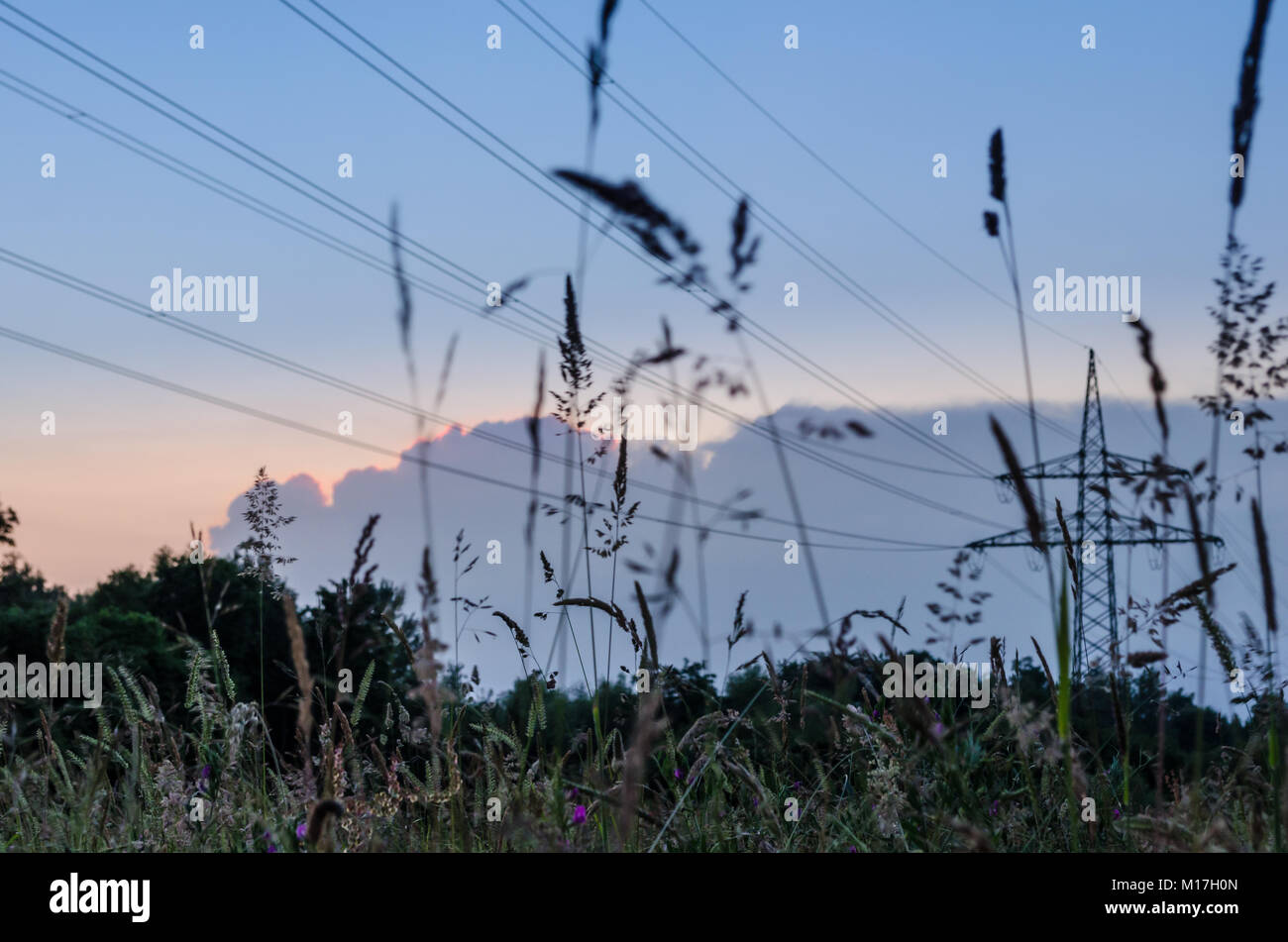 Powerline Column High Resolution Stock Photography and Images - Alamy