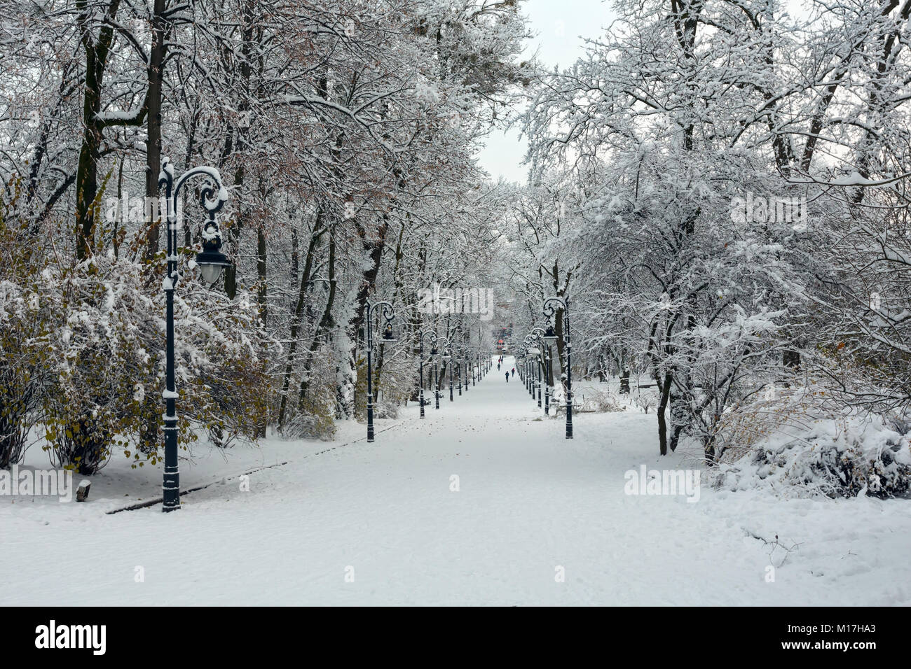 Beautiful overcast morning winter Ivan Franko park in the center of ...