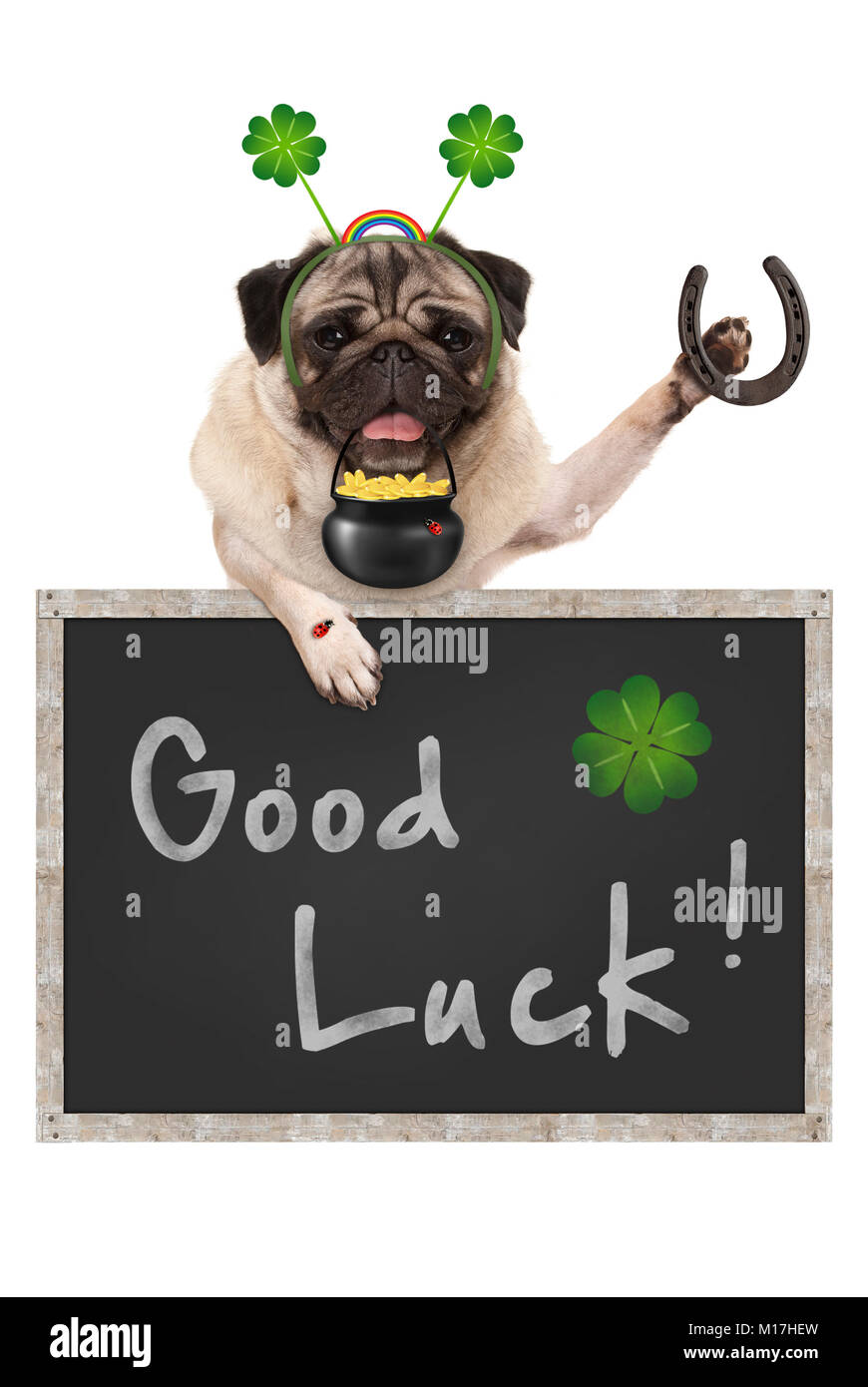 Good luck good luck Cut Out Stock Images & Pictures - Alamy