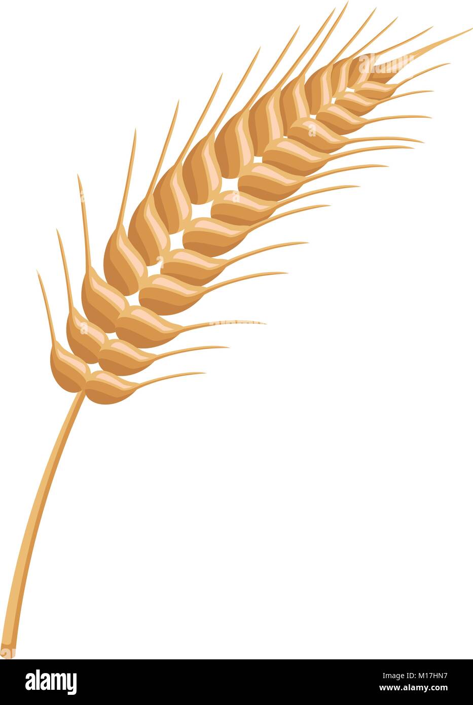 Wheat food symbol Stock Vector Image & Art - Alamy