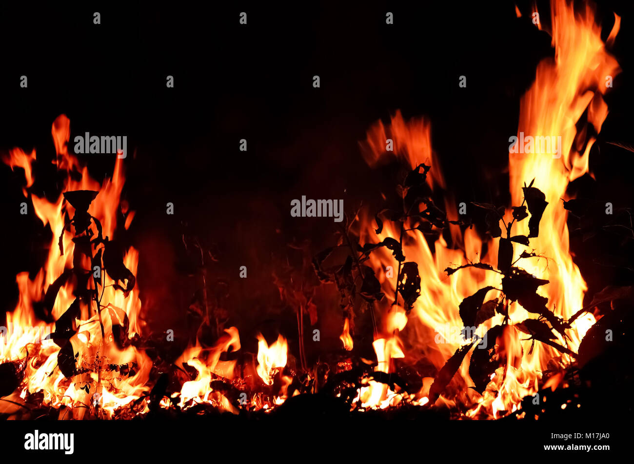 Bonfire against dark night black background Stock Photo - Alamy