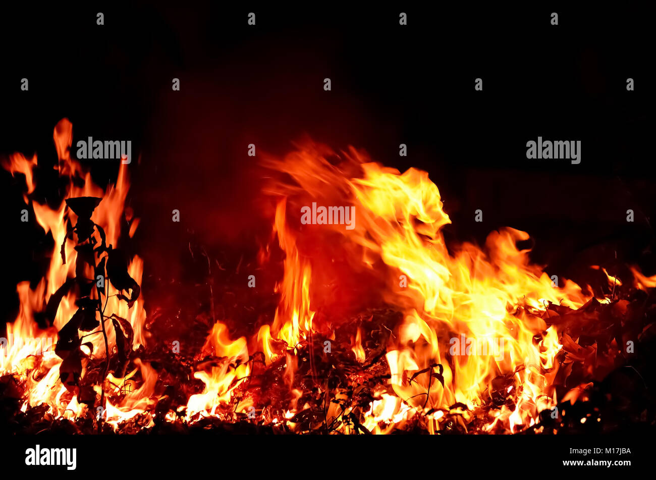 Bonfire against dark night black background Stock Photo - Alamy