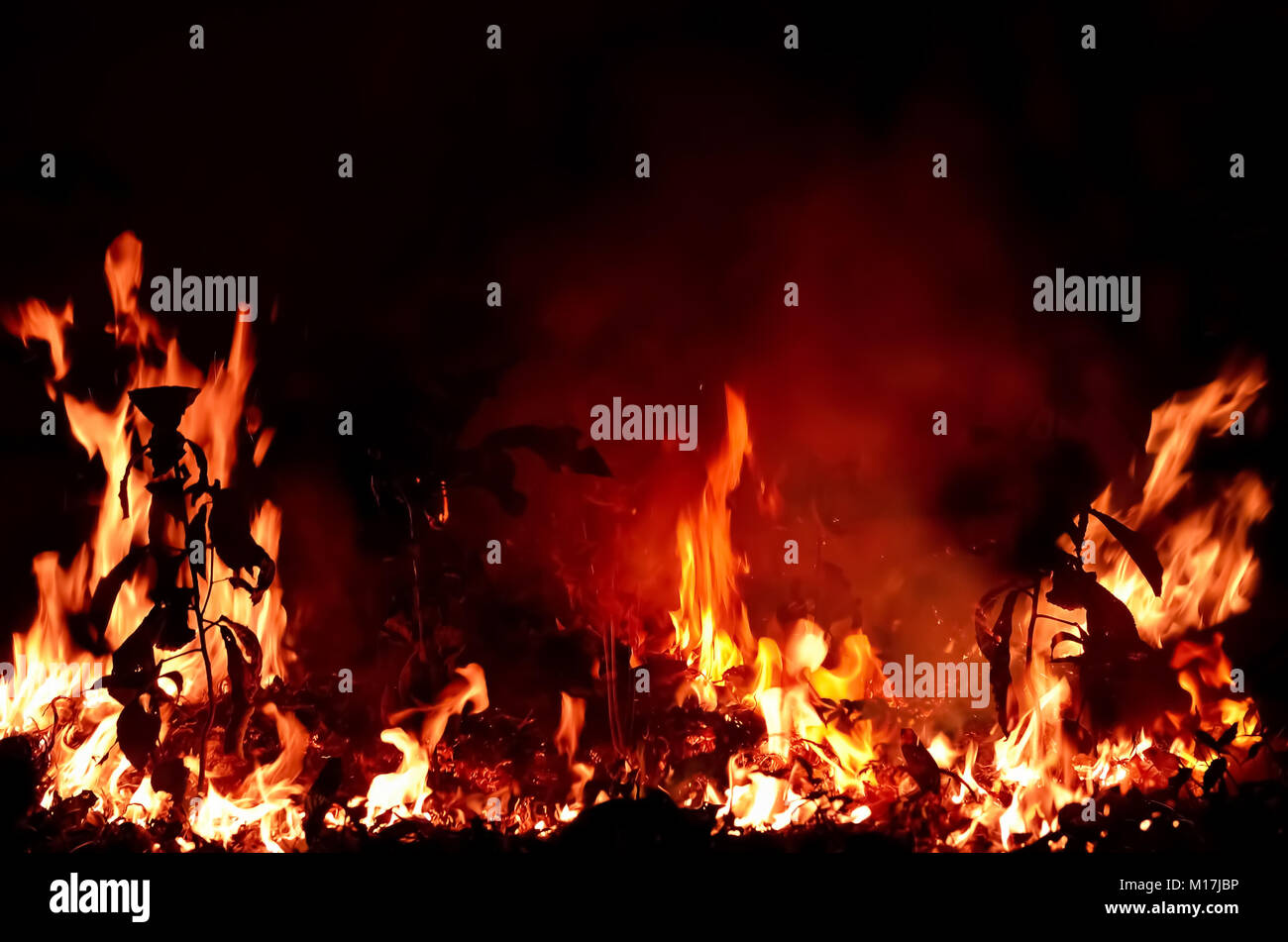 Bonfire against dark night black background Stock Photo - Alamy