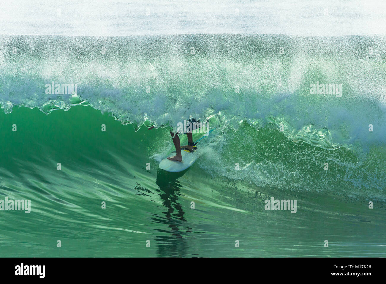 Surfer surfing hollow ocean wave for a tube ride closeup photo action ...