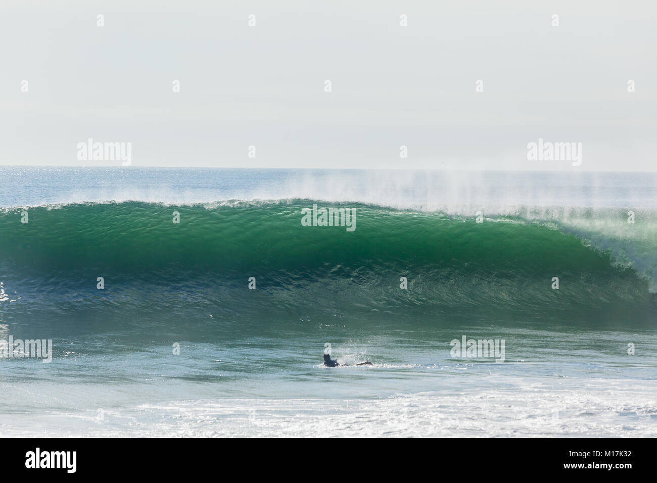 Ocean wave large about to crashi in front of surfing surfer caught in ...