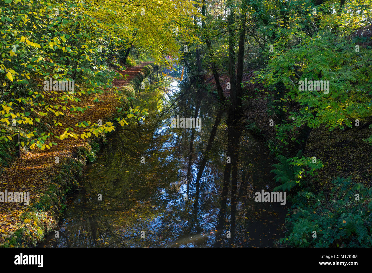 Goytre united hi-res stock photography and images - Alamy