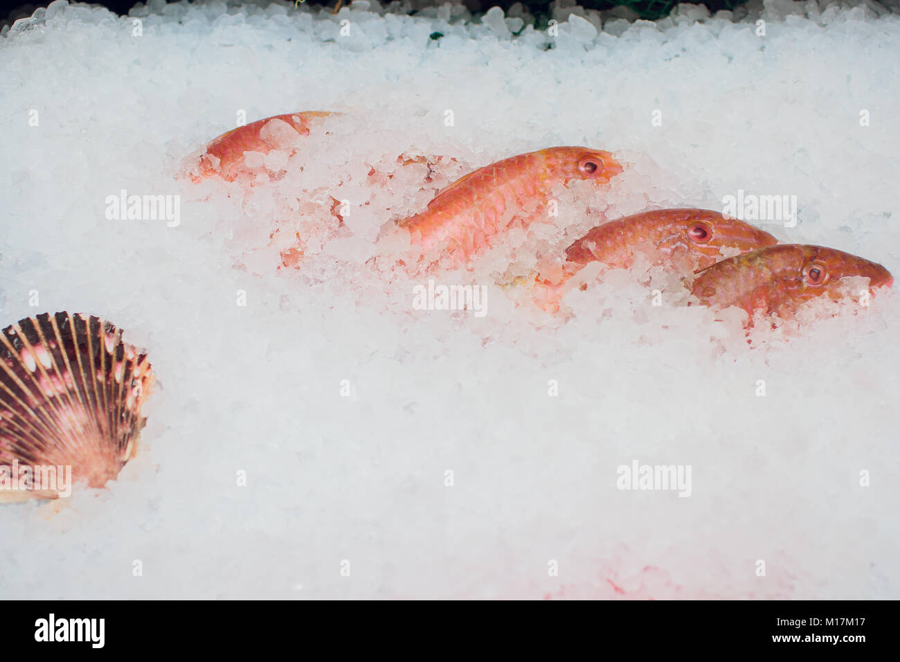 Seafood on ice at the fish market Stock Photo - Alamy