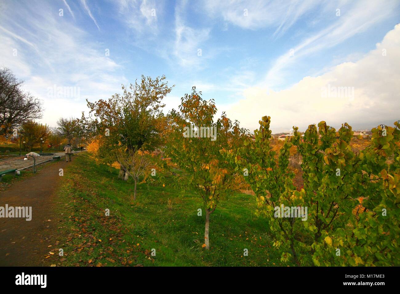 Beautiful garden in yerevan hi-res stock photography and images - Alamy