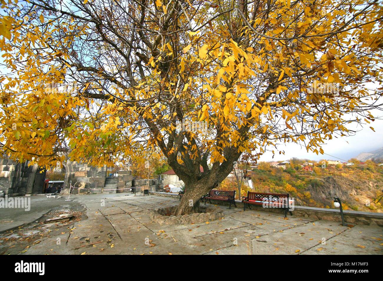 The autumn season in Yerevan city ,Armenia Stock Photo - Alamy