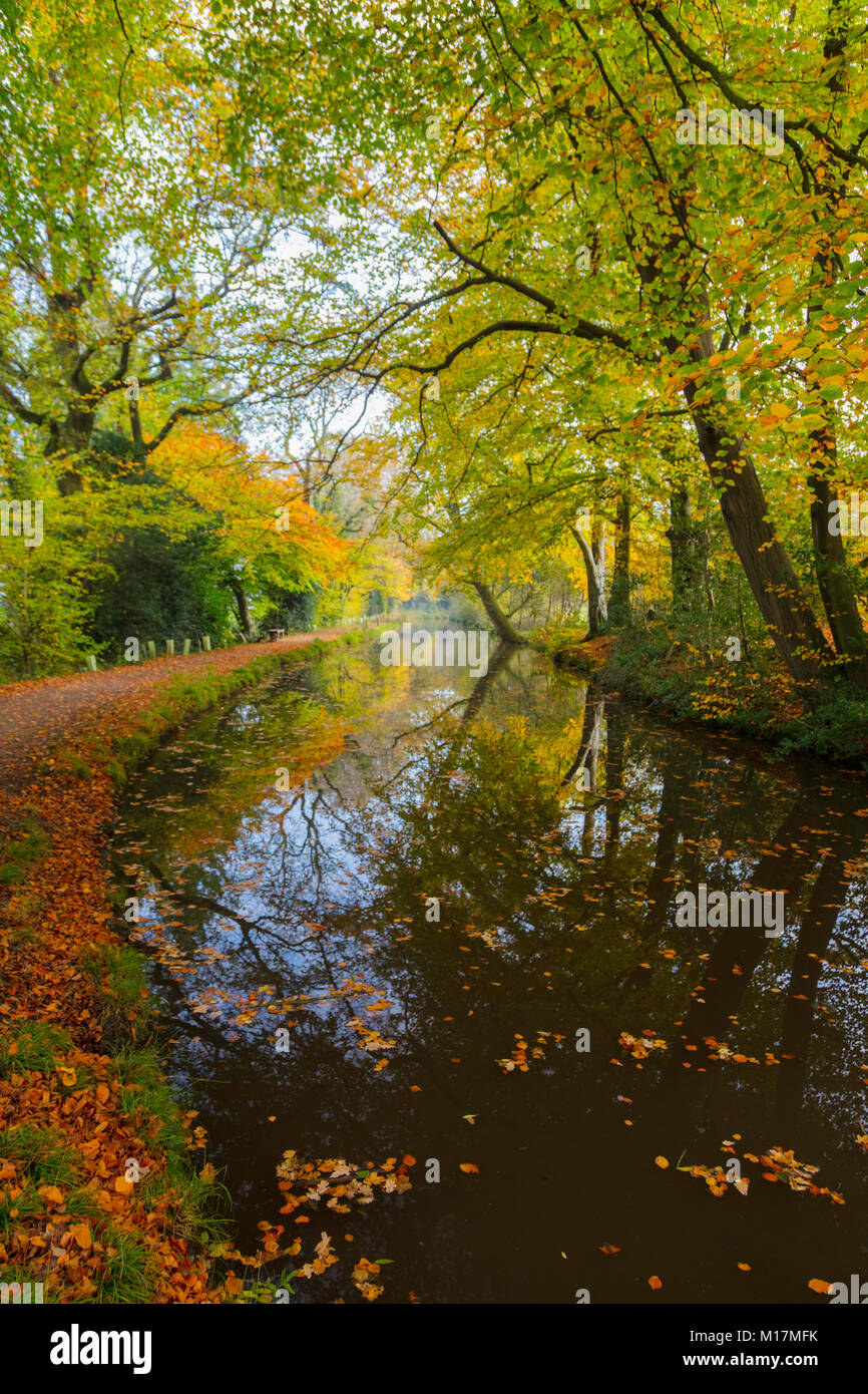 Llanellen canal hi-res stock photography and images - Alamy