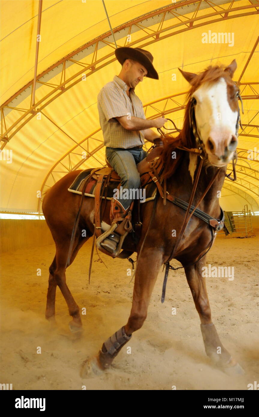Western horse riding lover, Villette d'Anthon, Rhone, france Stock ...