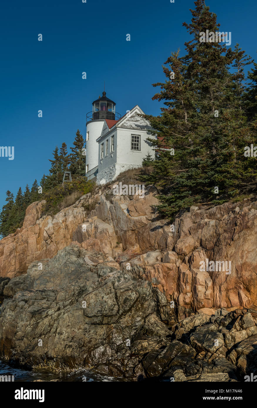 Bass Harbor Lighthouse and Pine Trees Stock Photo - Alamy