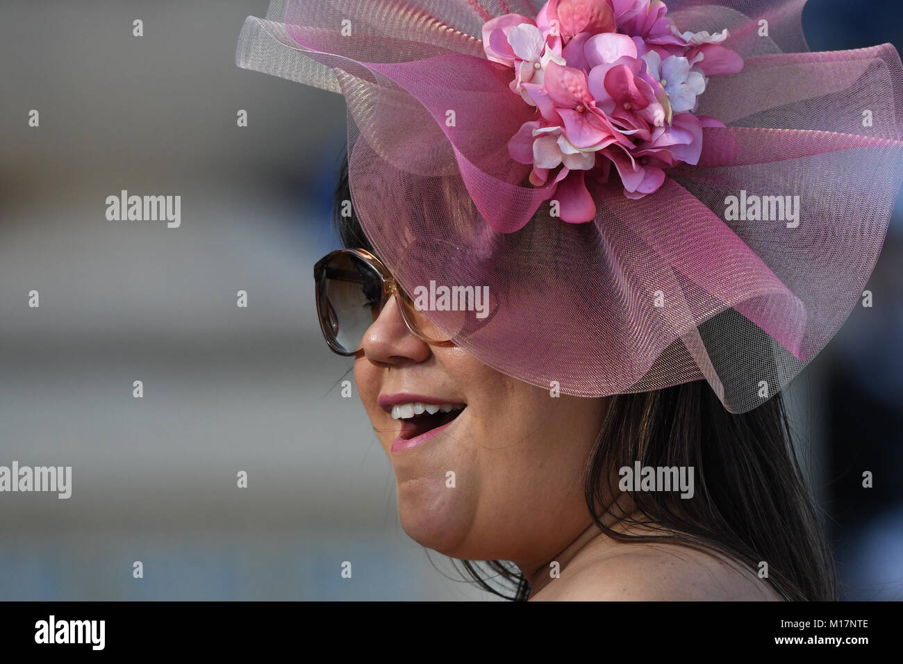 Gulfstream park pegasus hi-res stock photography and images - Alamy