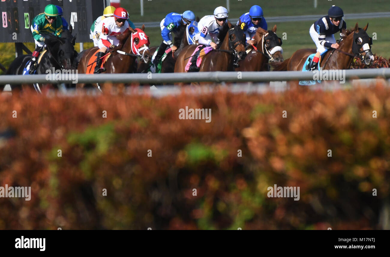 Gulfstream park pegasus hi-res stock photography and images - Alamy