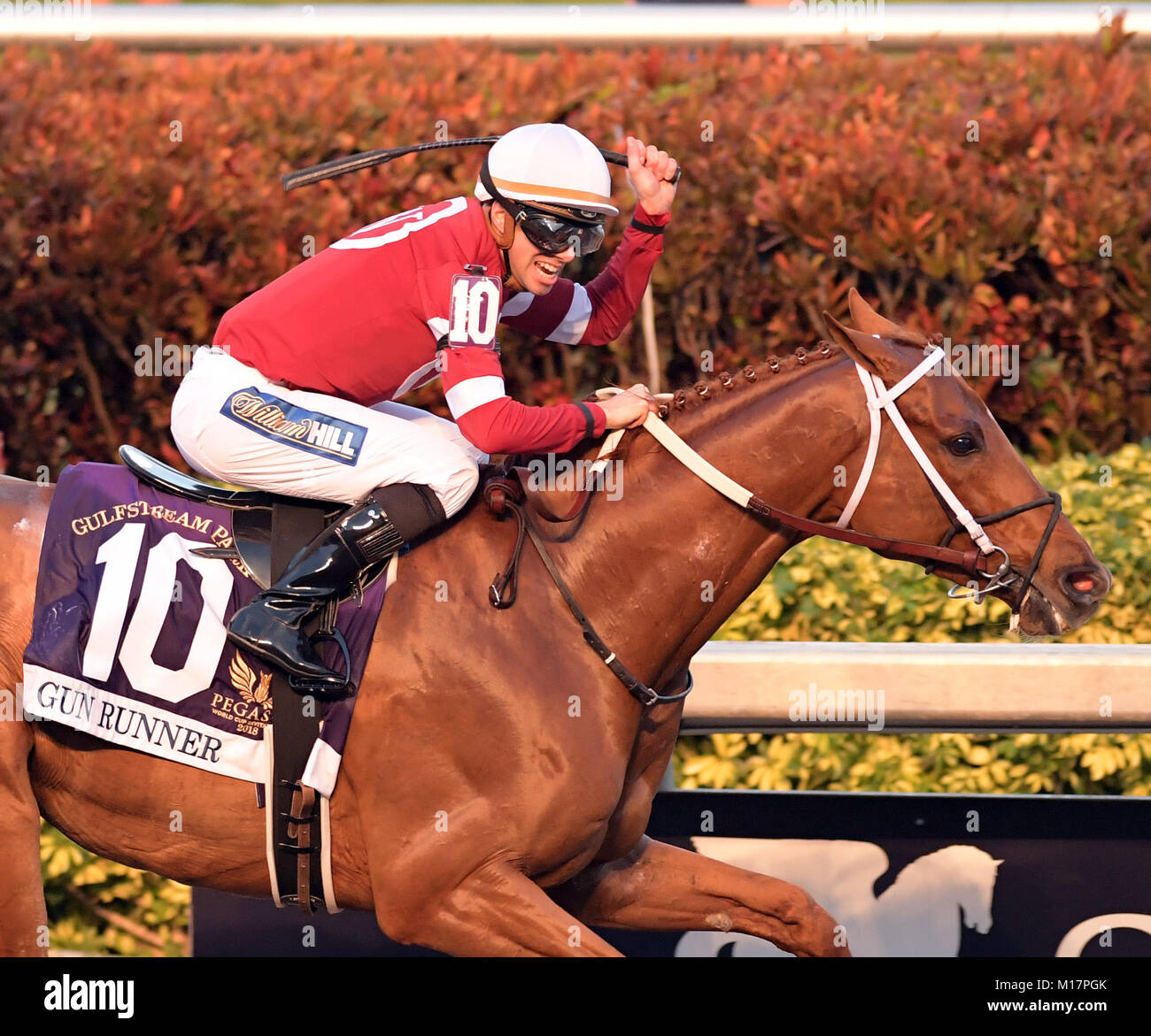Gulfstream park hi-res stock photography and images - Alamy