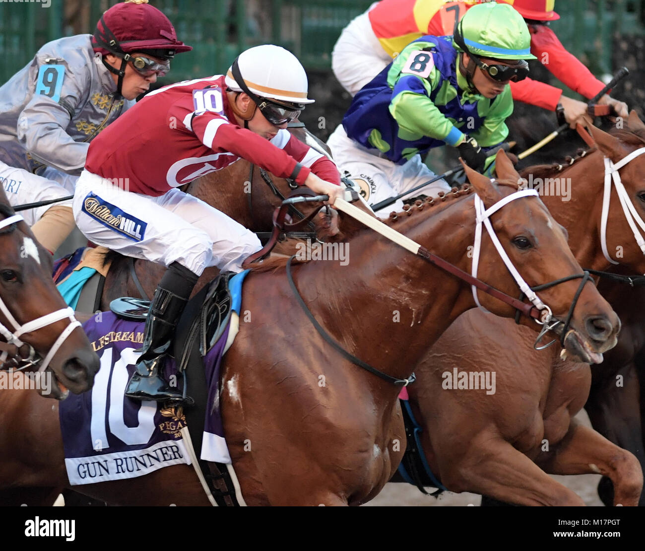 Gulfstream park hi-res stock photography and images - Alamy