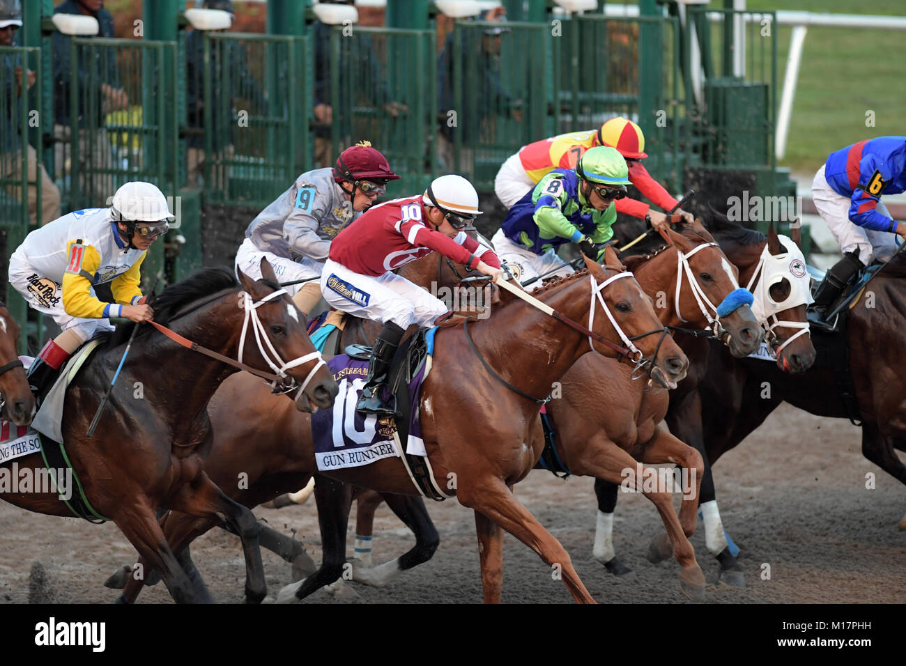 Gulfstream park pegasus hi-res stock photography and images - Alamy