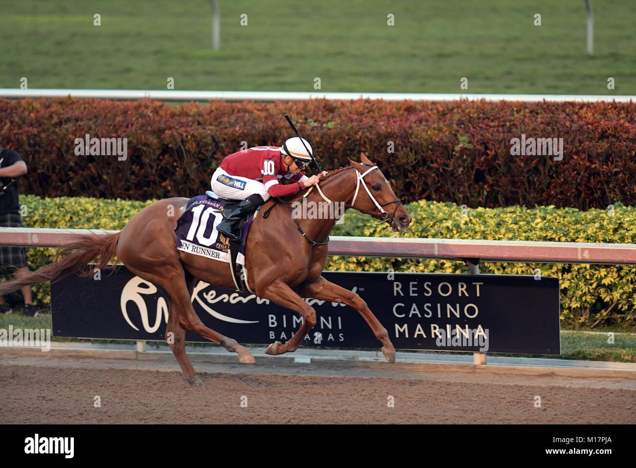 Gulfstream park hi-res stock photography and images - Alamy