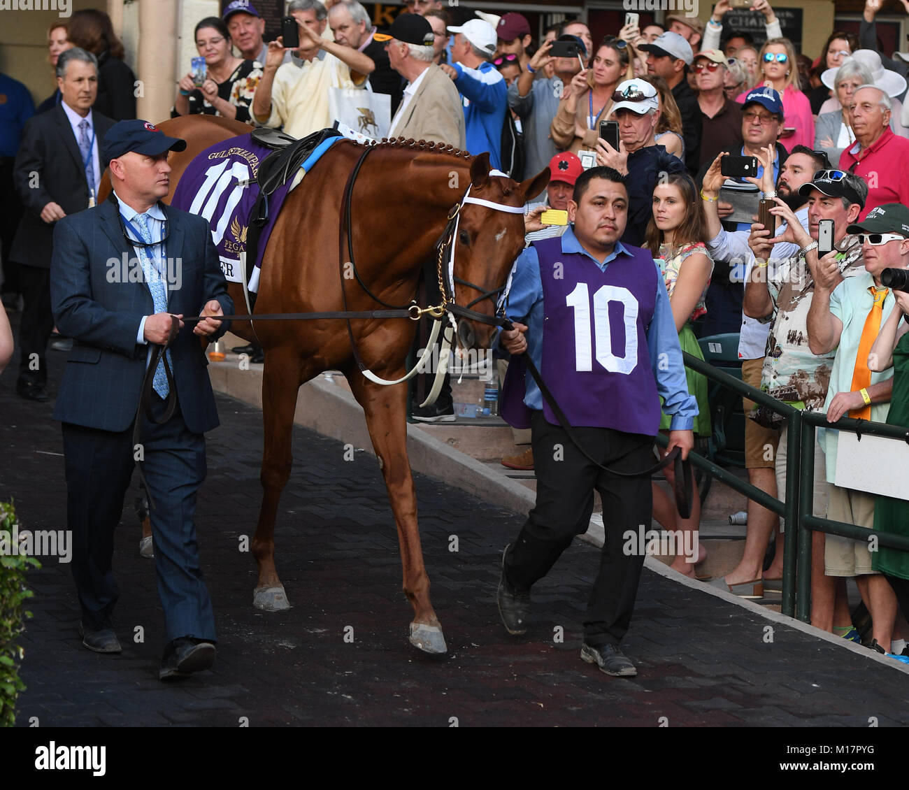 Assistant trainer hi-res stock photography and images - Alamy
