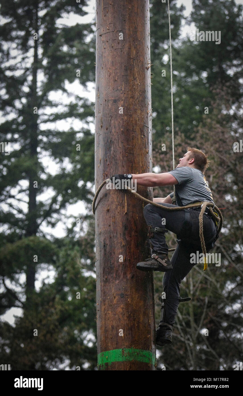 Pole climbing competition hi-res stock photography and images - Alamy