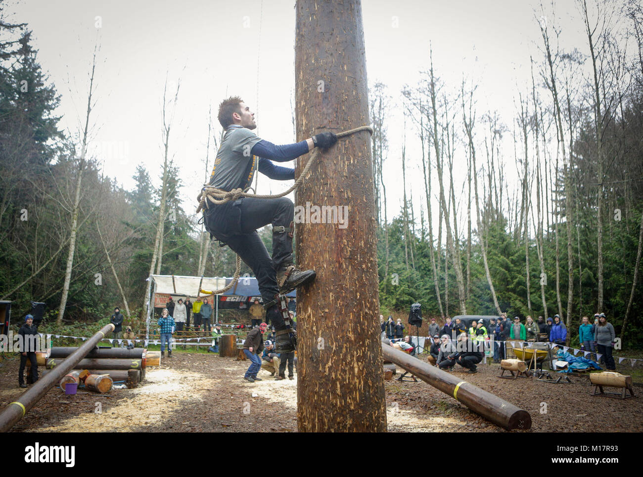 Pole climbing competition hi-res stock photography and images - Alamy