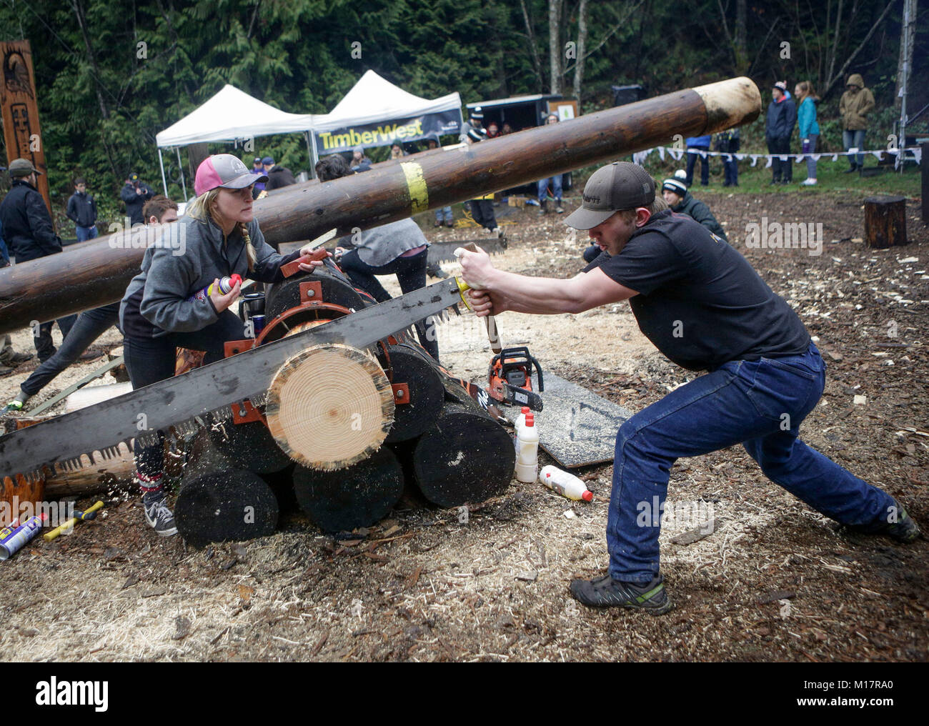 Live Sawing High Resolution Stock Photography and Images - Alamy