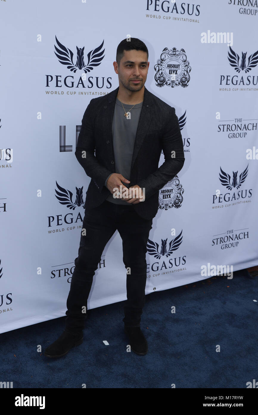 Steve wilmer hi-res stock photography and images - Alamy