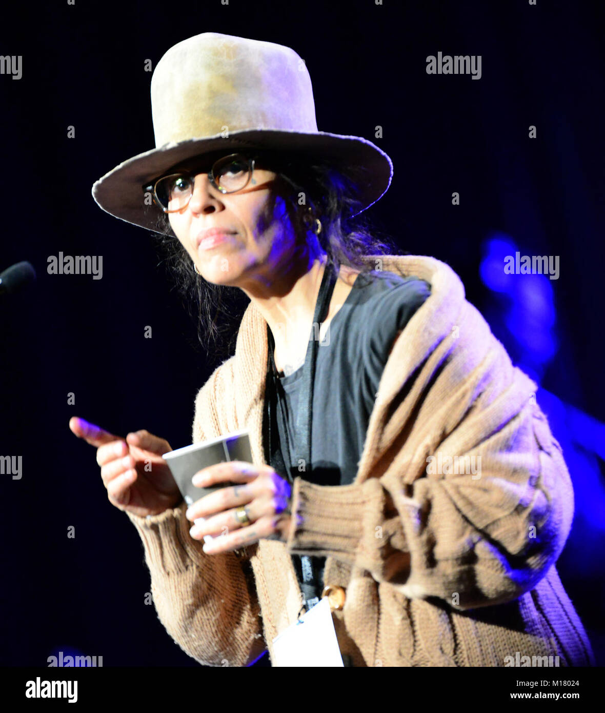 Anaheim, California, USA. 28th Jan, 2018. Musician - LINDA PERRY on ...