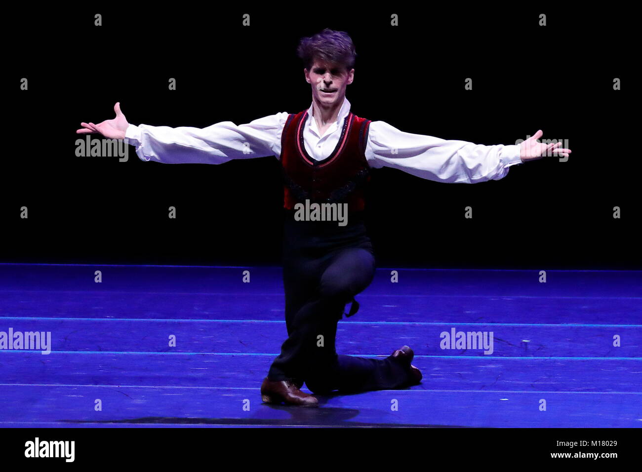 Ballet in Rome, galà les etoiles Stock Photo - Alamy