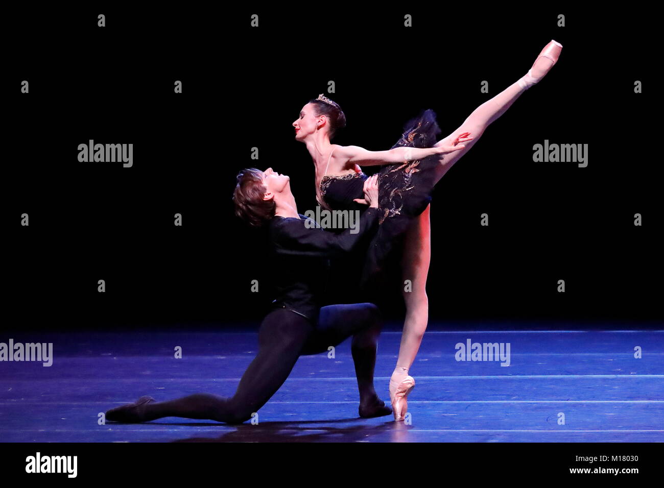 Bolshoi ballet swan lake ballet hi-res stock photography and images - Alamy