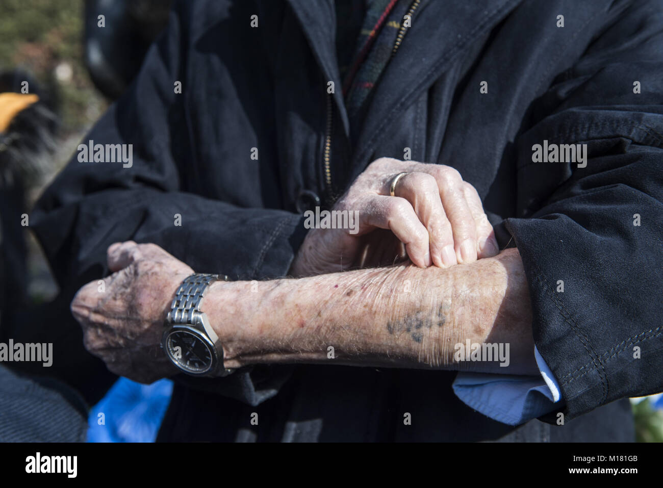Auschwitz concentration camp tattoo hi-res stock photography and images ...