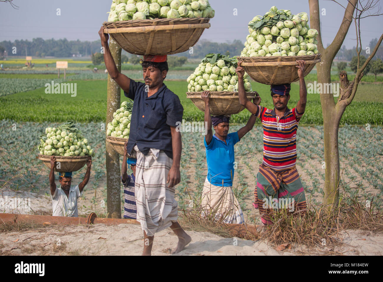 Bangladeshi vegetable vendor hi-res stock photography and images - Alamy