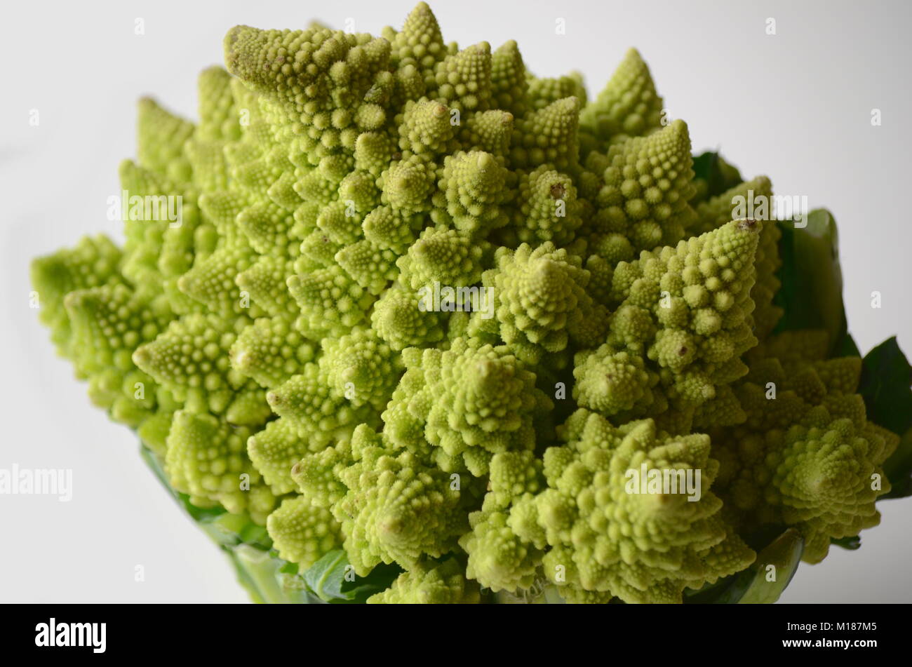 Head of a romanesco cauliflower or romanesque broccoli (Brassica ...