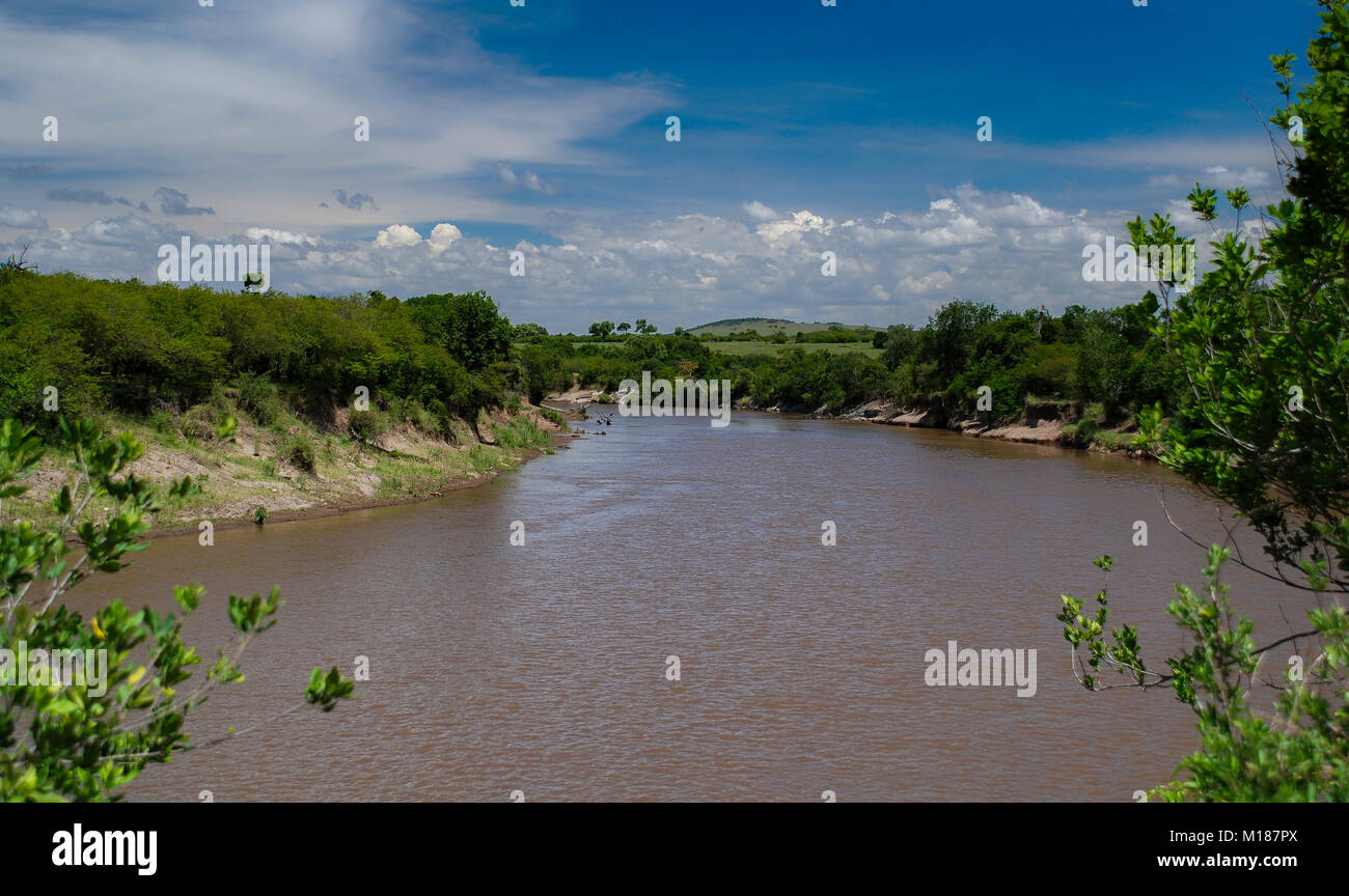 Mara River in the Masai Mara national park Stock Photo - Alamy